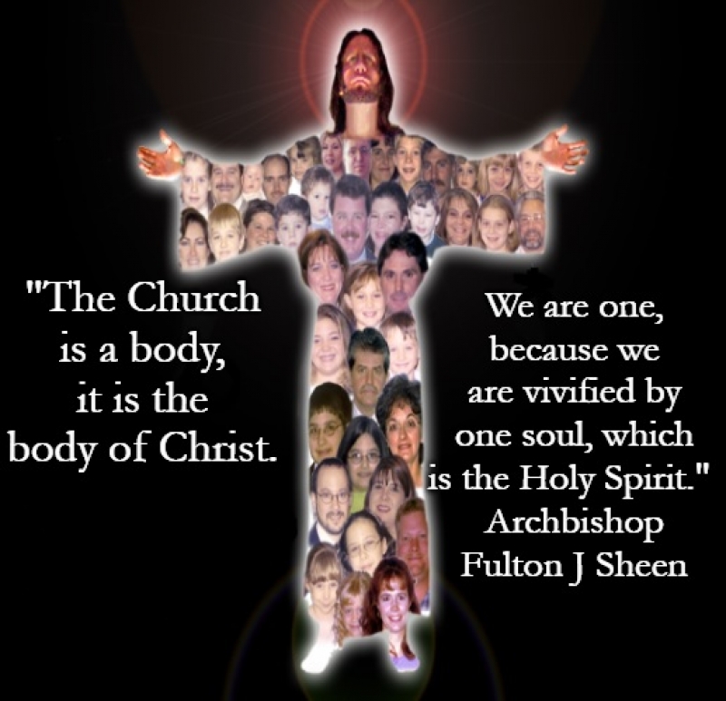 3rd Sunday in Ordinary Time (Year C) - 23 January