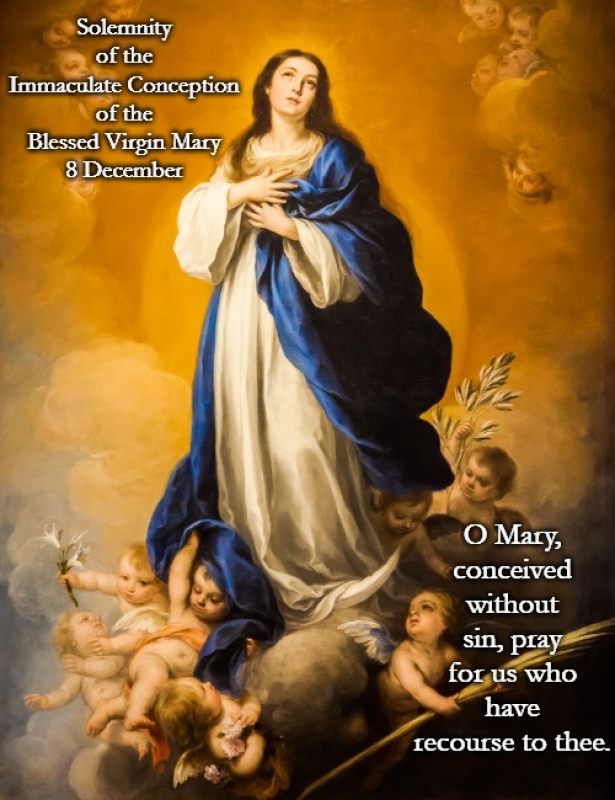 Solemnity of the Immaculate Conception of the Blessed Virgin Mary - 8 ...